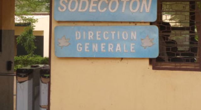 Infrastructure : le nouvel immeuble-siège de la Sodecoton coûtera 3 ...