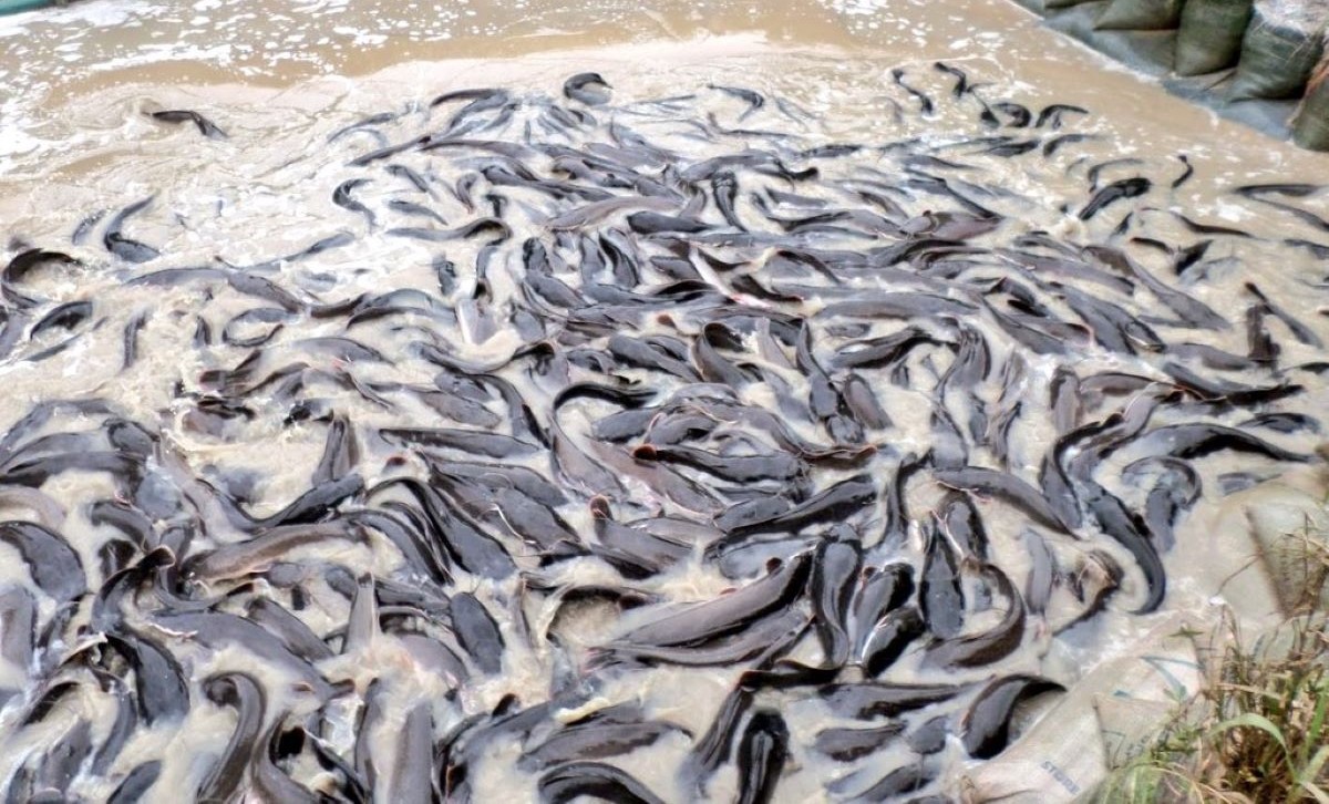 En 5 ans, le Cameroun a dépensé 761,2 milliards de Fcfa pour les ...