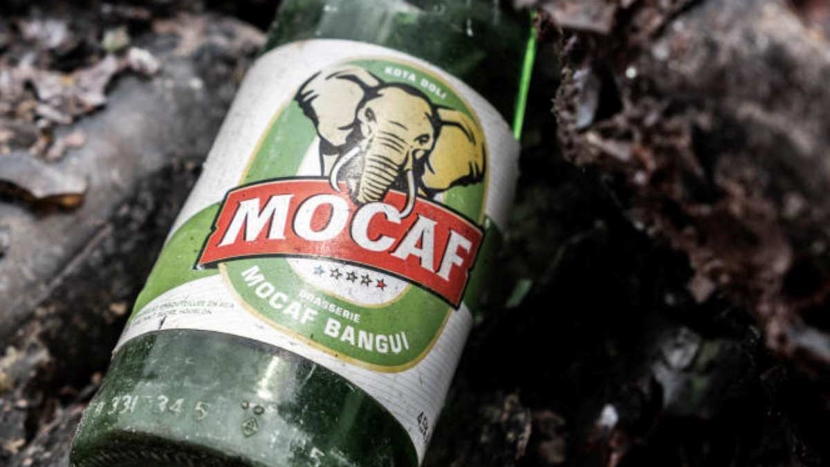 RCA : la Brasserie Mocaf investit 12 milliards de Fcfa dans la ...