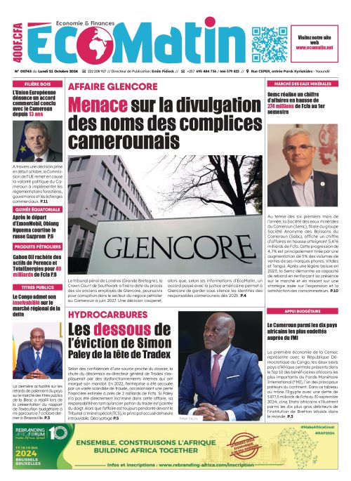 Gaz pétrolier liquéfié le Cameroun veut importer 121 000 tonnes métriques en 2021