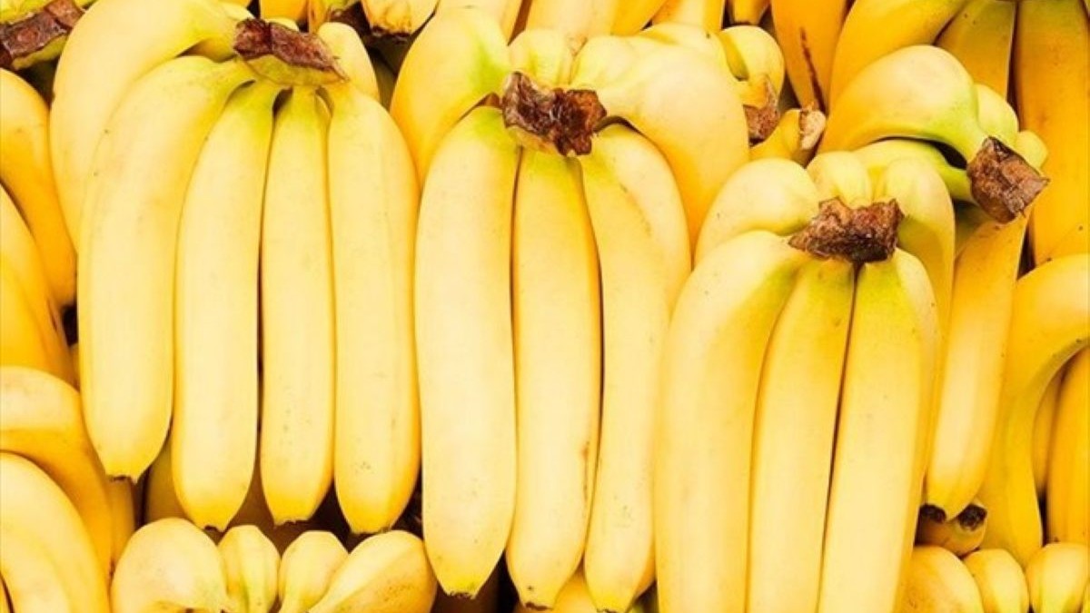 Cameroun : les exportations de banane dessert chutent de 10,9% à 14 639 ...