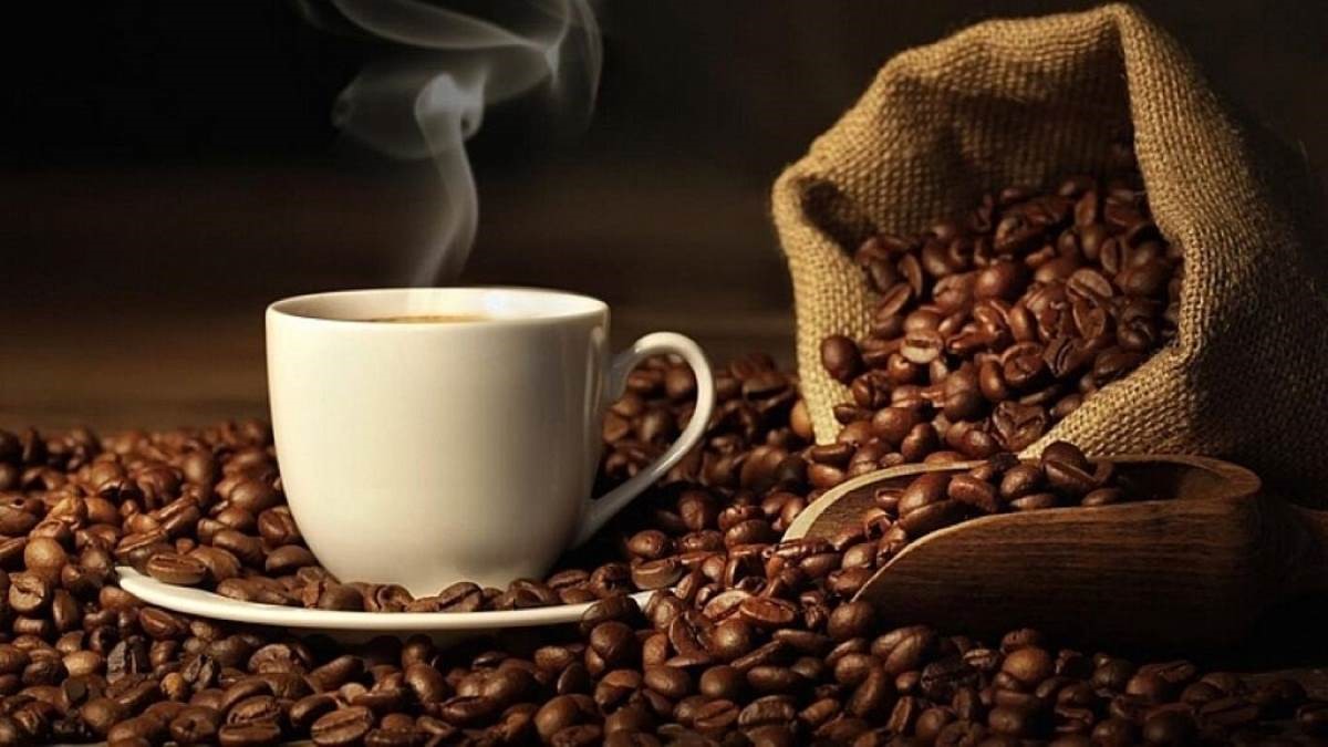 Cameroun : le prix du café atteint son plus haut niveau en 20 ans à 5 ...