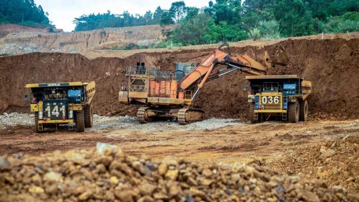 Ecomatin - Actualités économiques d'Afrique Centrale